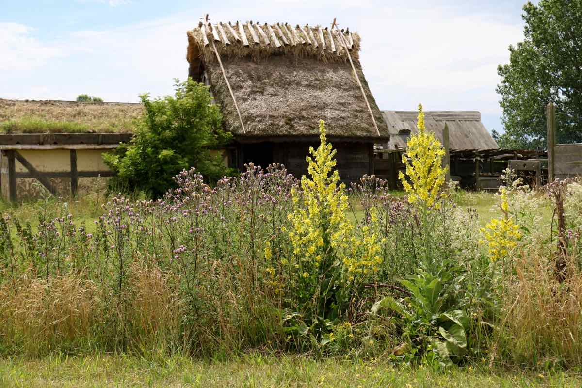 Höllviken: Fotevikens Wikinger-Museum